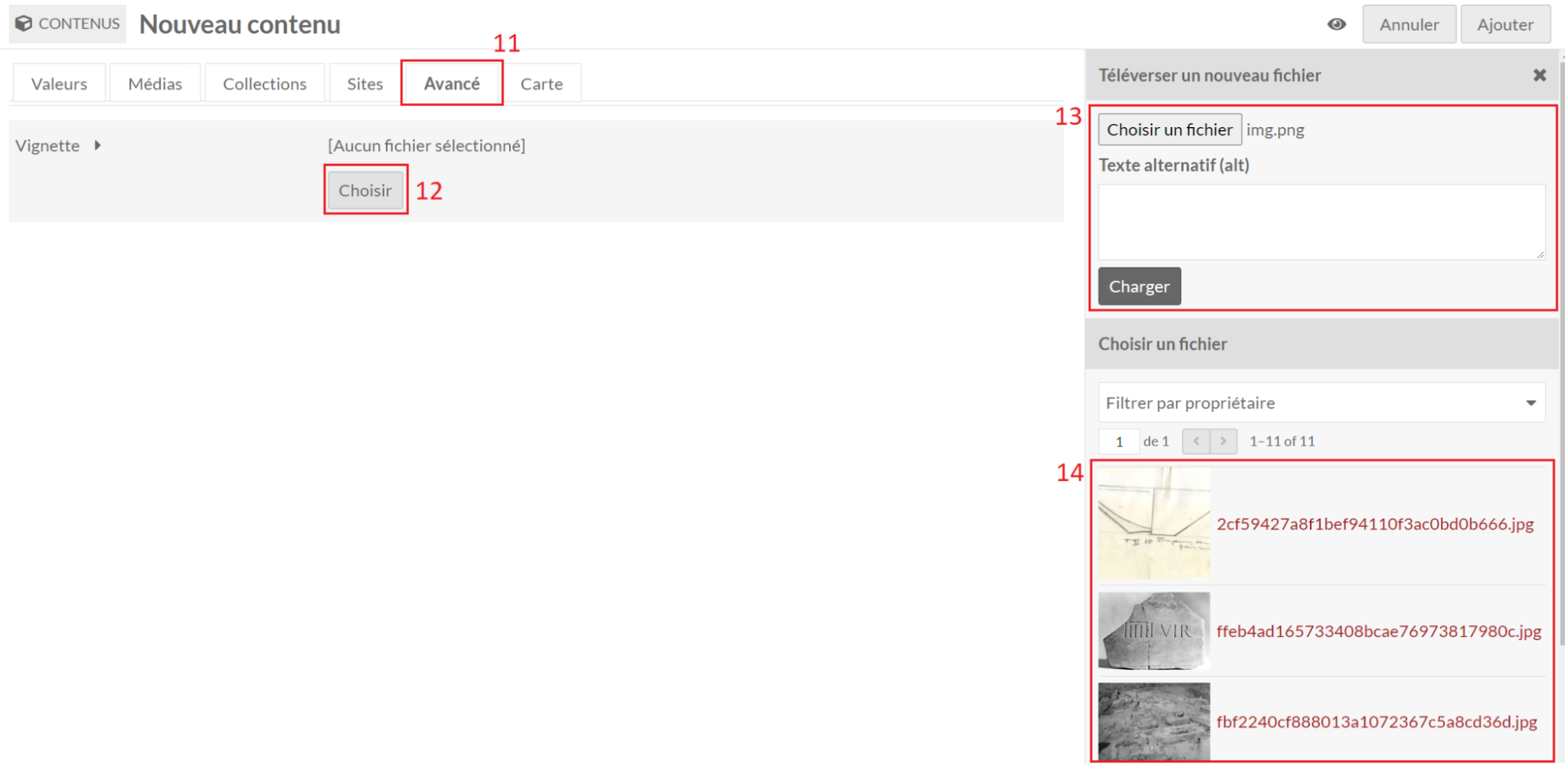 Contenus - Guide Omeka S